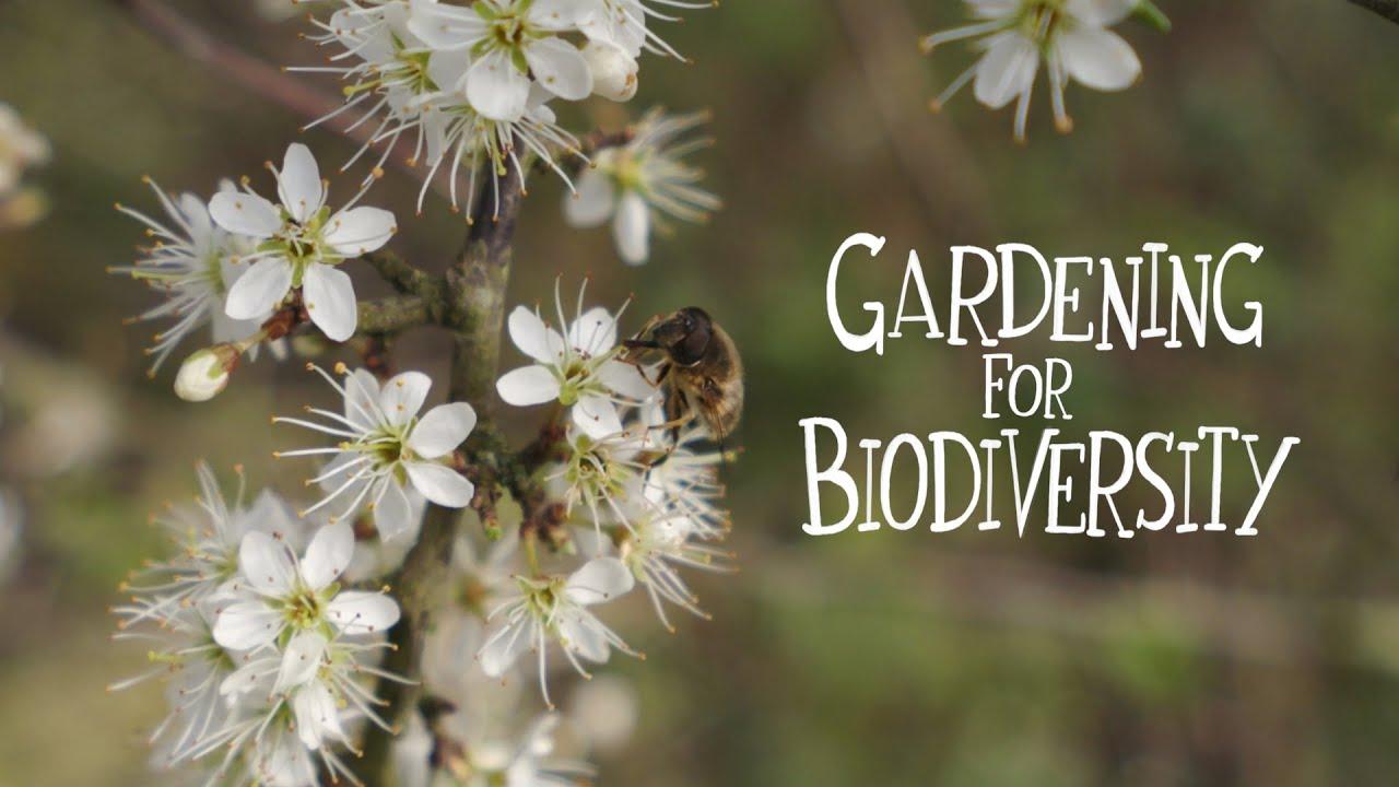 Biodiversity and Garden – Increase Nature
