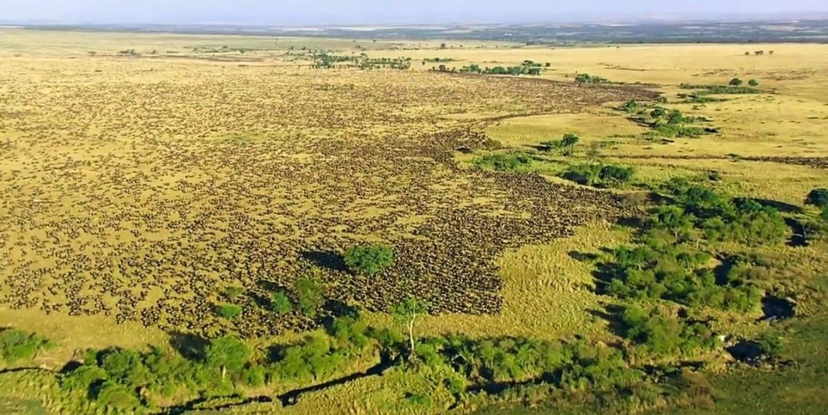 Our Planet - From Deserts to Grasslands – Increase Nature