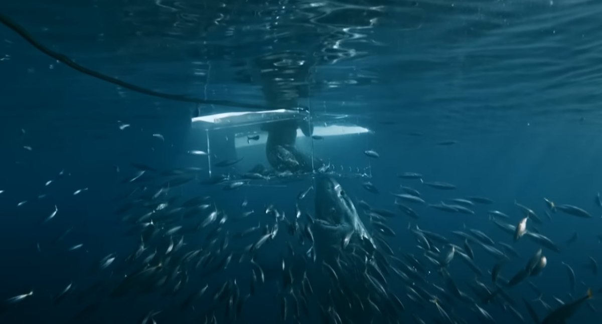 Namibia Webcam – Increase Nature