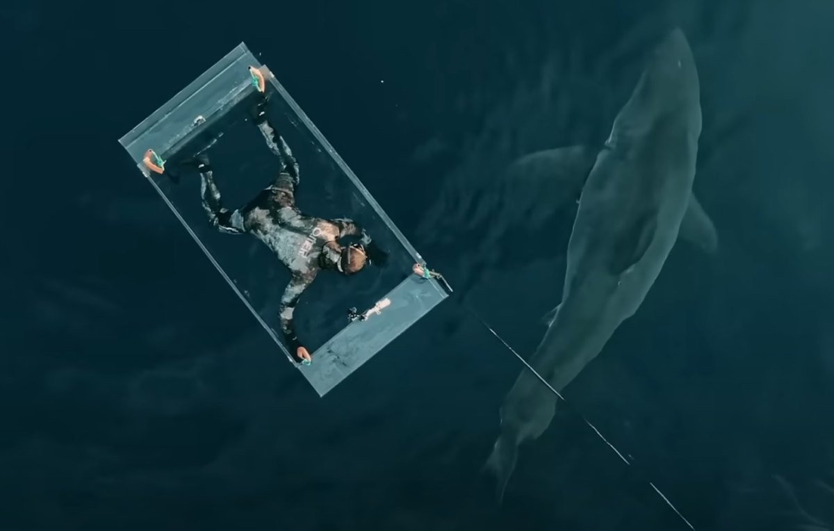Great White Shark Attacks Cage – Increase Nature